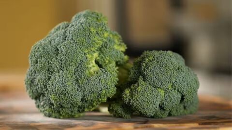 TV Show | French Magnolia