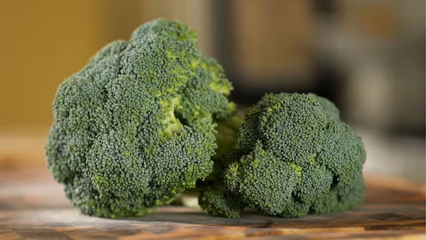 Season 2 Broccoli | French Magnolia